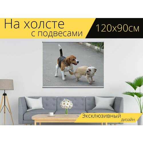 Картина на холсте "Бигль, пудель, собака" с подвесами 120х90 см. для интерьера
