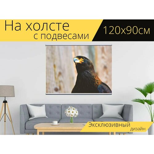Картина на холсте "Канюк, хищник, дикие птицы" с подвесами 120х90 см. для интерьера