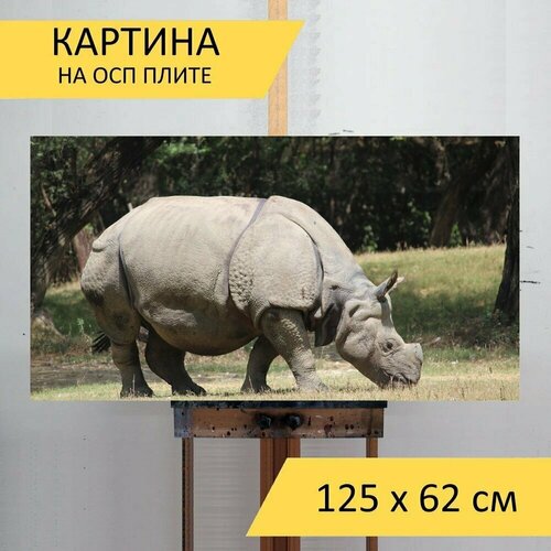 Картина на ОСП 125х62 см. "Носорог, зоопарк, животное" горизонтальная, для интерьера, с креплениями