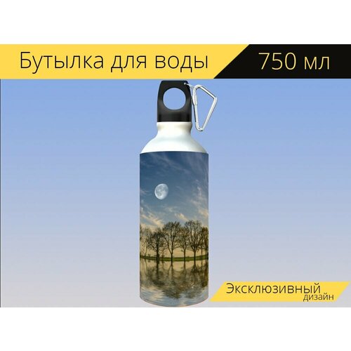 Бутылка фляга для воды "Деревья, озеро, отражение" 750 мл. с карабином и принтом