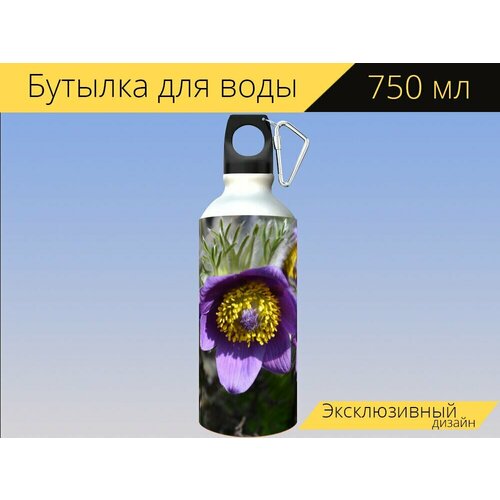 Бутылка фляга для воды "Прострел, цвести, цветок" 750 мл. с карабином и принтом