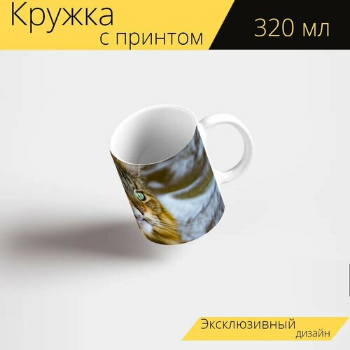 Кружка с рисунком, принтом "Животное, милый, кот" 320 мл.