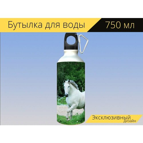 Бутылка фляга для воды "Криолло, лошадь, белый" 750 мл. с карабином и принтом