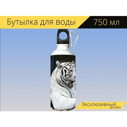 Бутылка фляга для воды "Тигр, белый, белый тигр" 750 мл. с карабином и принтом