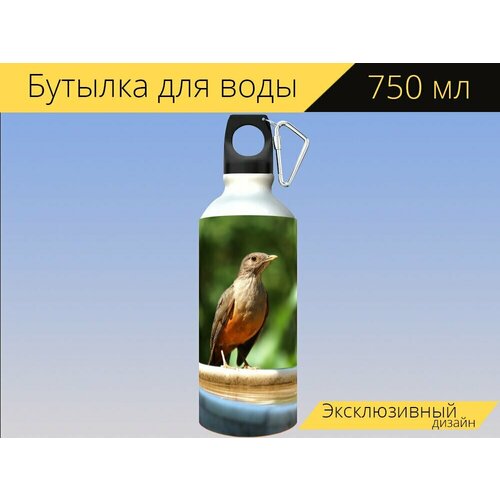 Бутылка фляга для воды "Знал апельсиновое дерево, в питьевом фонтане, птица" 750 мл. с карабином и принтом