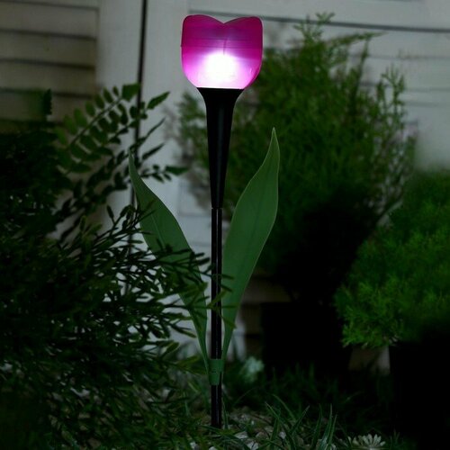 Садовый светильник на солнечной батарее «Тюльпан», 6 × 38 × 6 см, 1 LED, свечение белое (комплект из 10 шт)