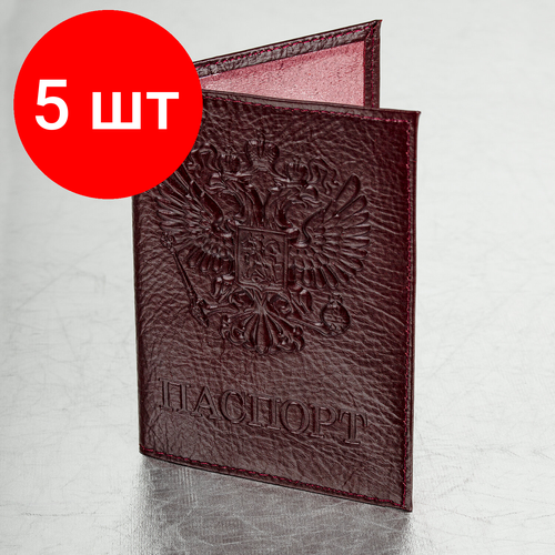 Комплект для паспорта BRAUBERG, красный, бордовый
