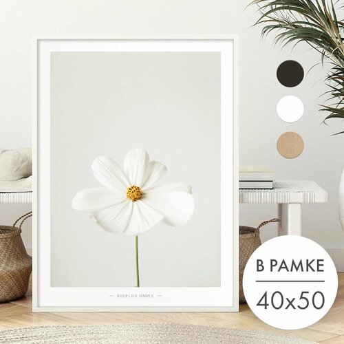 Плакат Постер 40х50 В рамке "Белый цветочек" для интерьера
