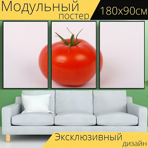 Модульный постер "Овощ, красный, помидор" 180 x 90 см. для интерьера