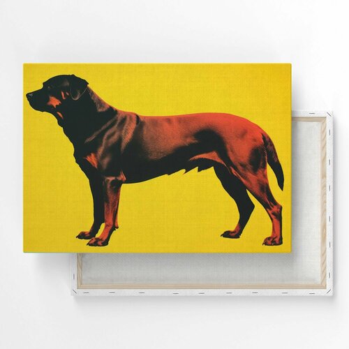 Картина на холсте, репродукция / Собака / Размер 60 x 80 см