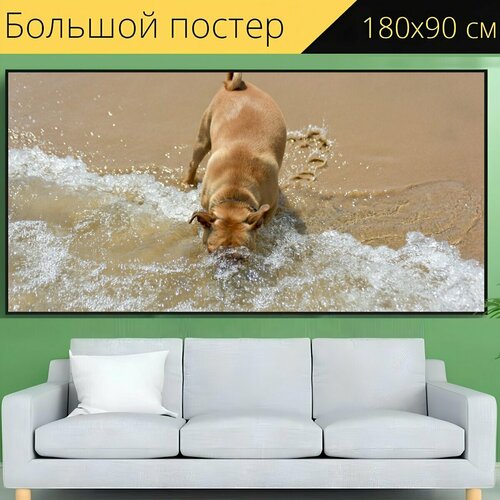 Большой постер "Собака, щенок, домашний питомец" 180 x 90 см. для интерьера