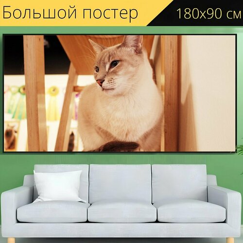 Большой постер "Кошка, кошачье кафе, милый" 180 x 90 см. для интерьера