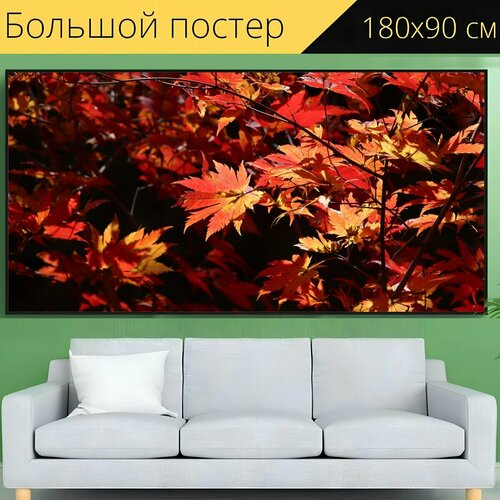 Большой постер "Осенние листья, кленовое дерево, лист" 180 x 90 см. для интерьера