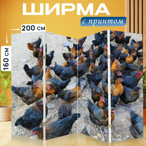 Ширма перегородка с принтом "Курица, домашние, ферма" на холсте - 200x160 см. для зонирования, раскладная