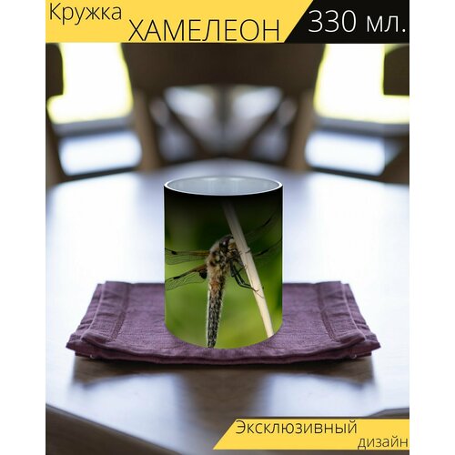 Кружка хамелеон с принтом "Стрекоза, фауна, насекомое" 330 мл.