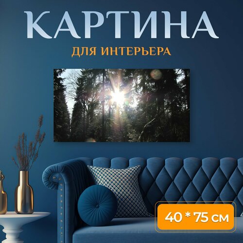 Картина на холсте "Зима, подсветка, лес" на подрамнике 75х40 см. для интерьера
