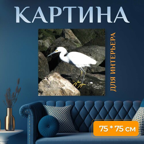 Картина на холсте "Птица, белый, животное" на подрамнике 75х75 см. для интерьера