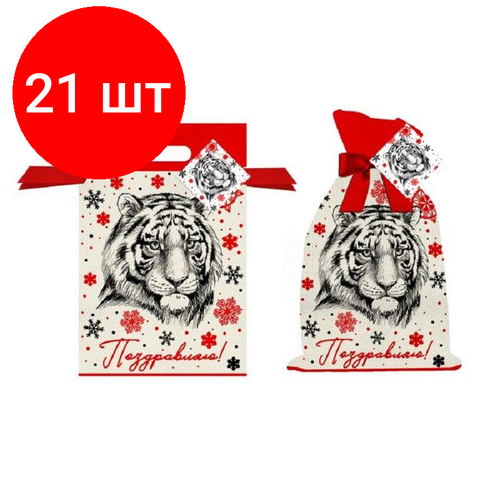 Комплект 21 штук, Мешочек подарочный Поздравляю(полип),70г/м2, с лентой,0.2x20x30см,86064
