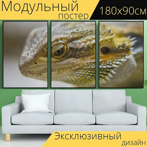 Модульный постер "Ящерица, рептилия, природа" 180 x 90 см. для интерьера