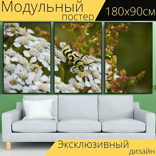 Модульный постер "Насекомое, цветок, насекомые" 180 x 90 см. для интерьера