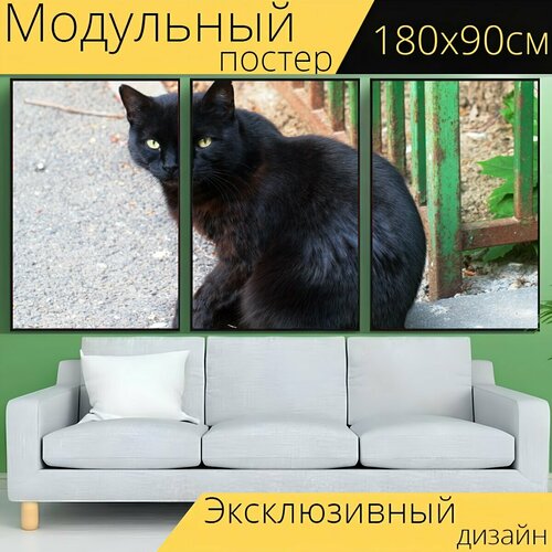 Модульный постер "Кот, животное, кошачий" 180 x 90 см. для интерьера