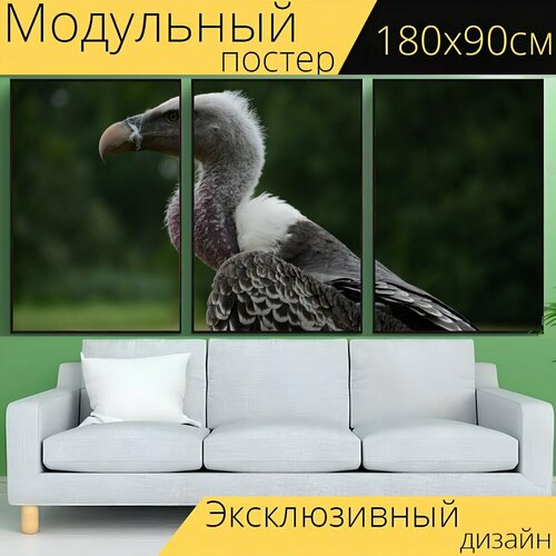 Модульный постер "Птица, перо, животное" 180 x 90 см. для интерьера