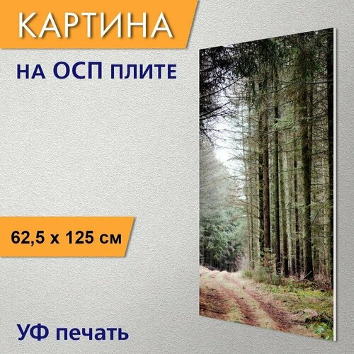 Вертикальная картина на ОСП "Дорожка, древесина, лес" 62x125 см. для интерьериа
