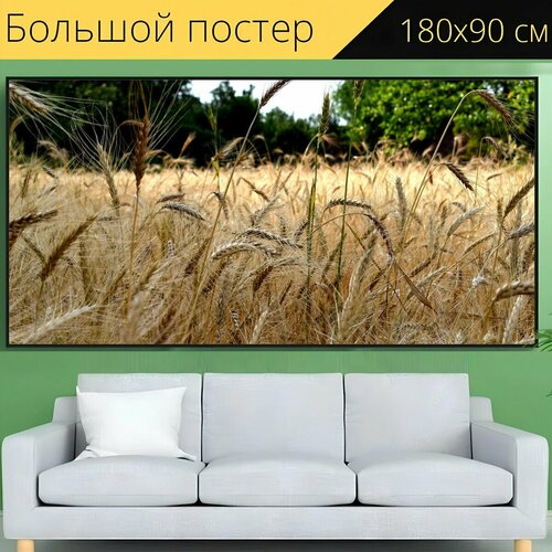 Большой постер "Природа, пшеница, поле" 180 x 90 см. для интерьера