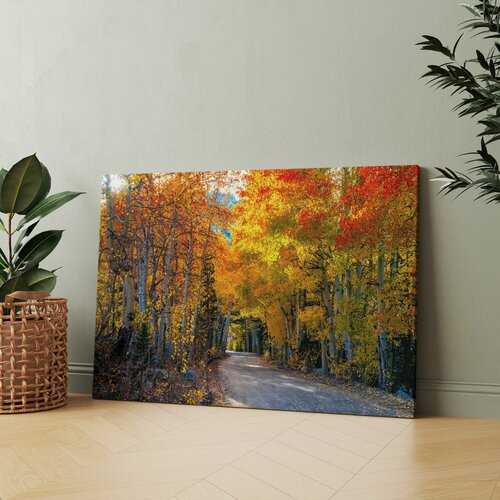 Картина на холсте "Грунтовая дорога, окруженная множеством разноцветных деревьев" 60x80 см. Интерьерная, на стену.
