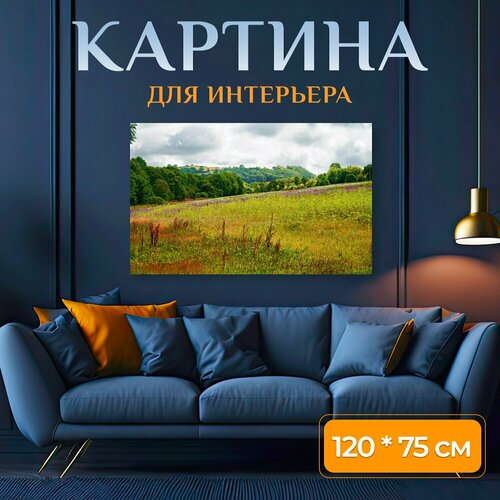 Картина на холсте "Поле, полевые цветы, поля" на подрамнике 120х75 см. для интерьера
