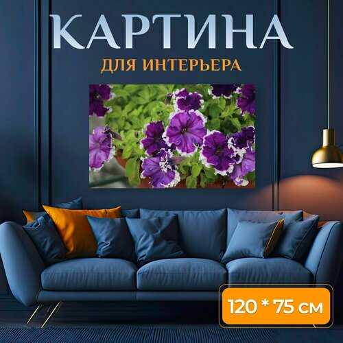 Картина на холсте "Фиолетовый цветок, завод, ботаника" на подрамнике 120х75 см. для интерьера