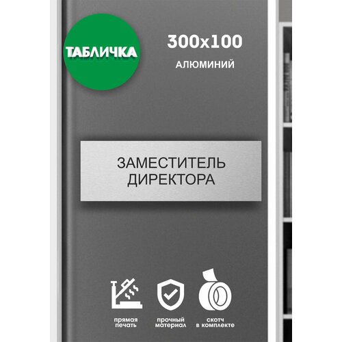 Табличка офисная "заместитель директора" серебро 30x10см