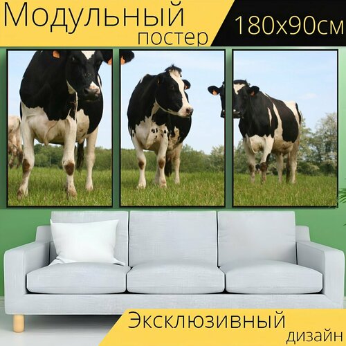 Модульный постер "Корова, поле, природа" 180 x 90 см. для интерьера