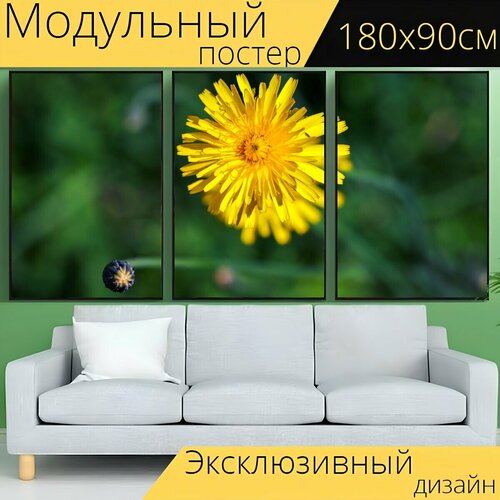 Модульный постер "Дикий цветок, желтый цветок, остроконечный цветок" 180 x 90 см. для интерьера