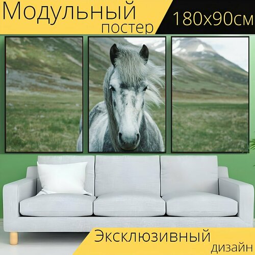 Модульный постер "Лошадь, животное, зеленый" 180 x 90 см. для интерьера