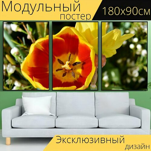 Модульный постер "Тюльпан, срезанный цветок, весенние цветы" 180 x 90 см. для интерьера