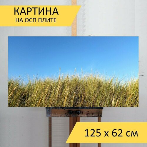 Картина на ОСП 125х62 см. "Песчаные дюны, трава, дюнная трава" горизонтальная, для интерьера, с креплениями