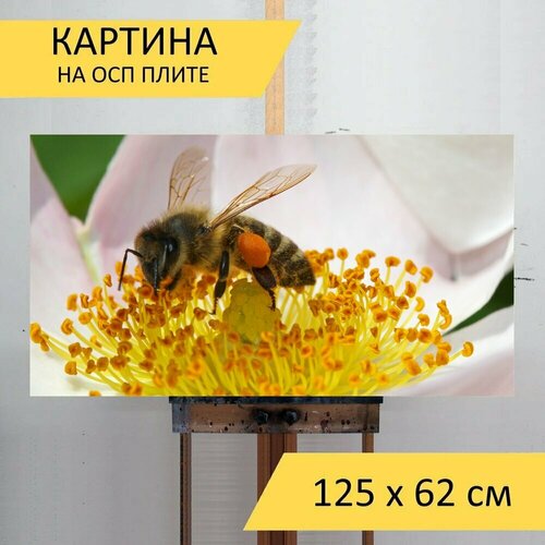 Картина на ОСП 125х62 см. "Пчела, насекомое, опылять" горизонтальная, для интерьера, с креплениями