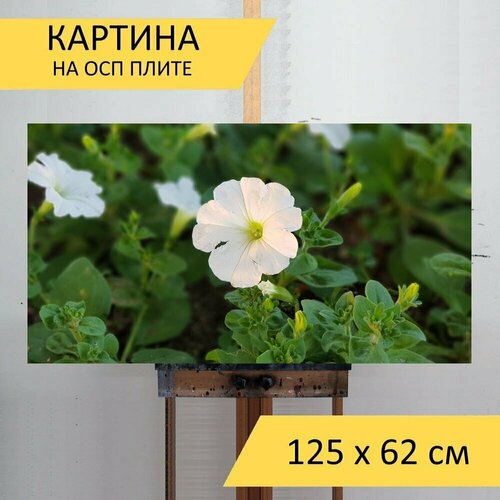 Картина на ОСП 125х62 см. "Цветок, белый цветок, завод" горизонтальная, для интерьера, с креплениями