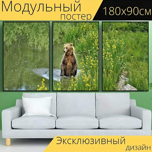 Модульный постер "Бурый медведь, дикое животное, опасный" 180 x 90 см. для интерьера