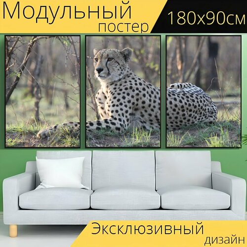 Модульный постер "Гепард, дикая природа, животное" 180 x 90 см. для интерьера