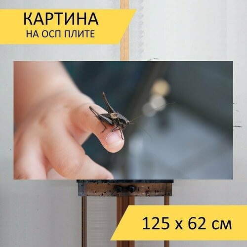 Картина на ОСП 125х62 см. "Кузнечик, насекомое, рука" горизонтальная, для интерьера, с креплениями