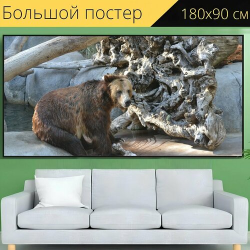 Большой постер "Зоопарк, медведь гризли, гризли" 180 x 90 см. для интерьера