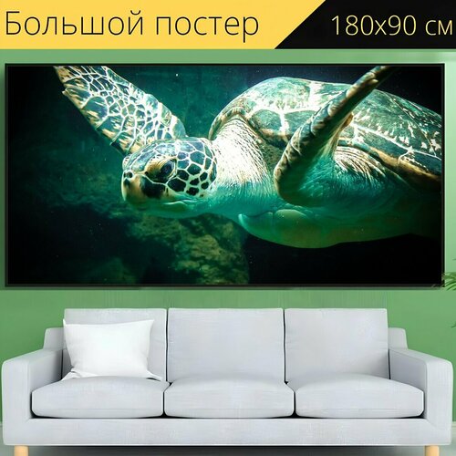 Большой постер "Морская черепаха, море, животное" 180 x 90 см. для интерьера