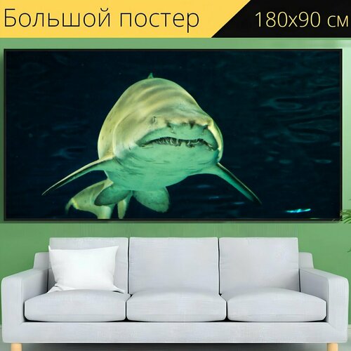 Большой постер "Акула, рыбы, хищник" 180 x 90 см. для интерьера