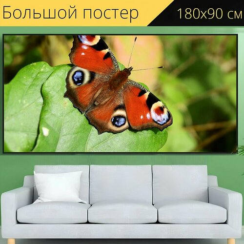 Большой постер "Бабочка, крылья бабочки, чешуекрылые" 180 x 90 см. для интерьера