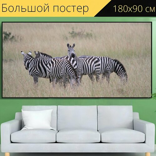 Большой постер "Африке, кения, зебра" 180 x 90 см. для интерьера