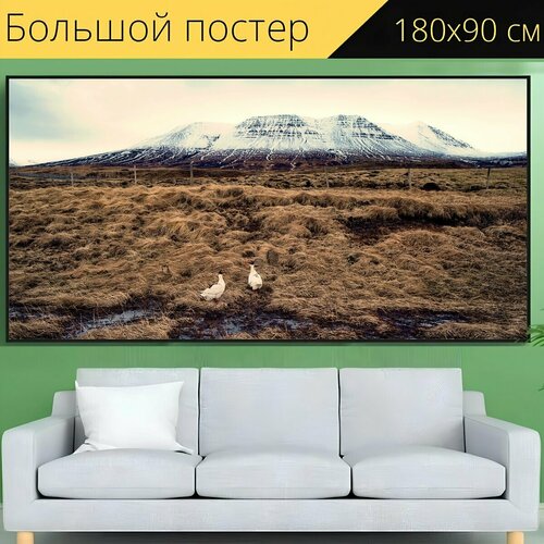 Большой постер "Исландия, тупики, птицы" 180 x 90 см. для интерьера