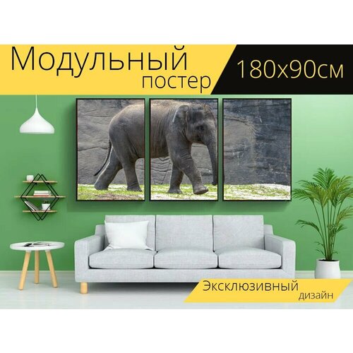 Модульный постер "Слон, телец, зоопарк" 180 x 90 см. для интерьера