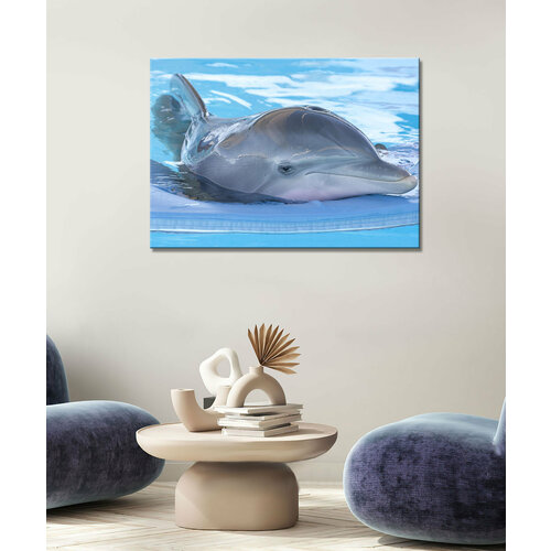 Картина - дельфин, экзотический дельфин, живая природа, дельфин в море (24) 30х40